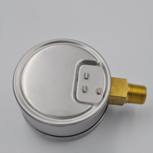 Manómetro Cápsula DN100mm 0.60 mbar Inferior Bronce PRIMETECH ...