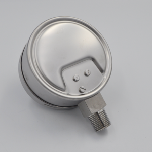 Manómetro Cápsula DN100 0-60 mbar /600mmH2O Inox totalInf PRIMETECH ...